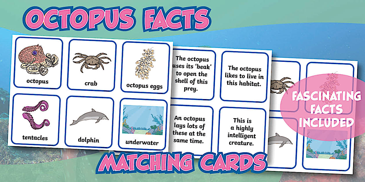 Octopus Facts Matching Cards