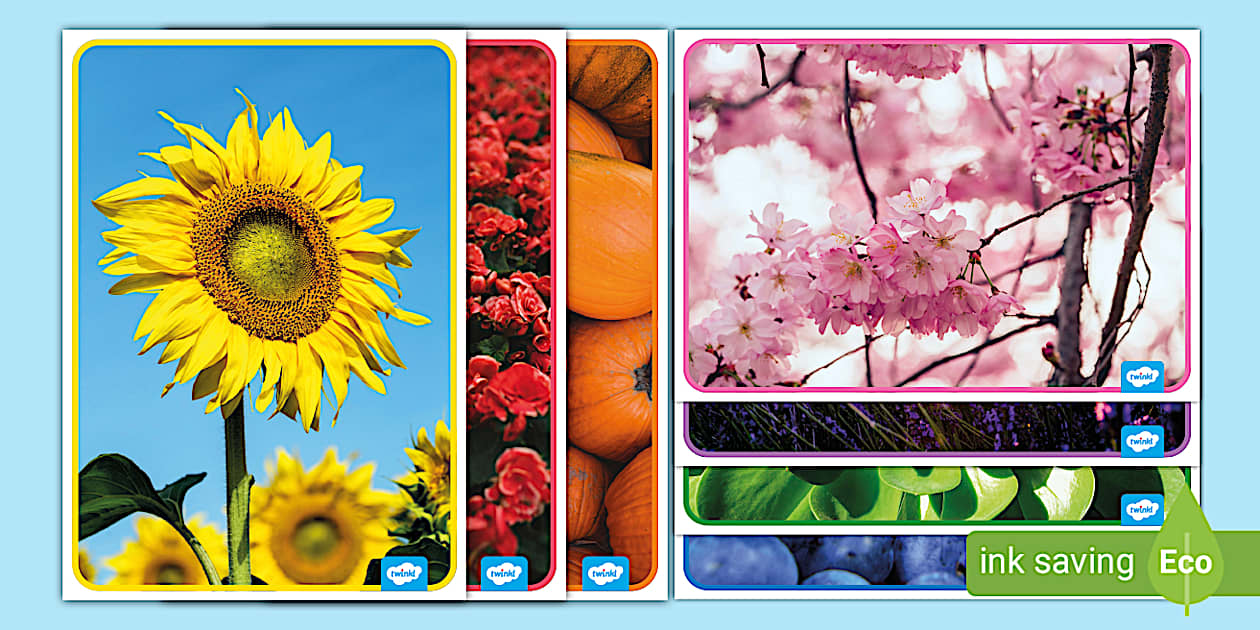 Colours in Nature Photo Pack,Colours,Rainbow - Twinkl