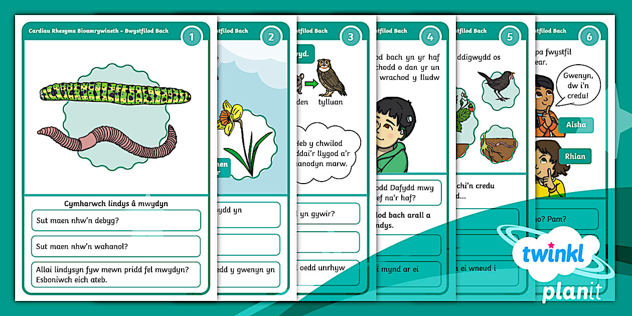 Bwystfilod Bach Beiddgar: Cardiau Rhesymu Bioamrywiaeth