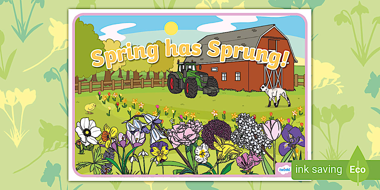 Spring has Sprung! Display Poster (teacher made) - Twinkl
