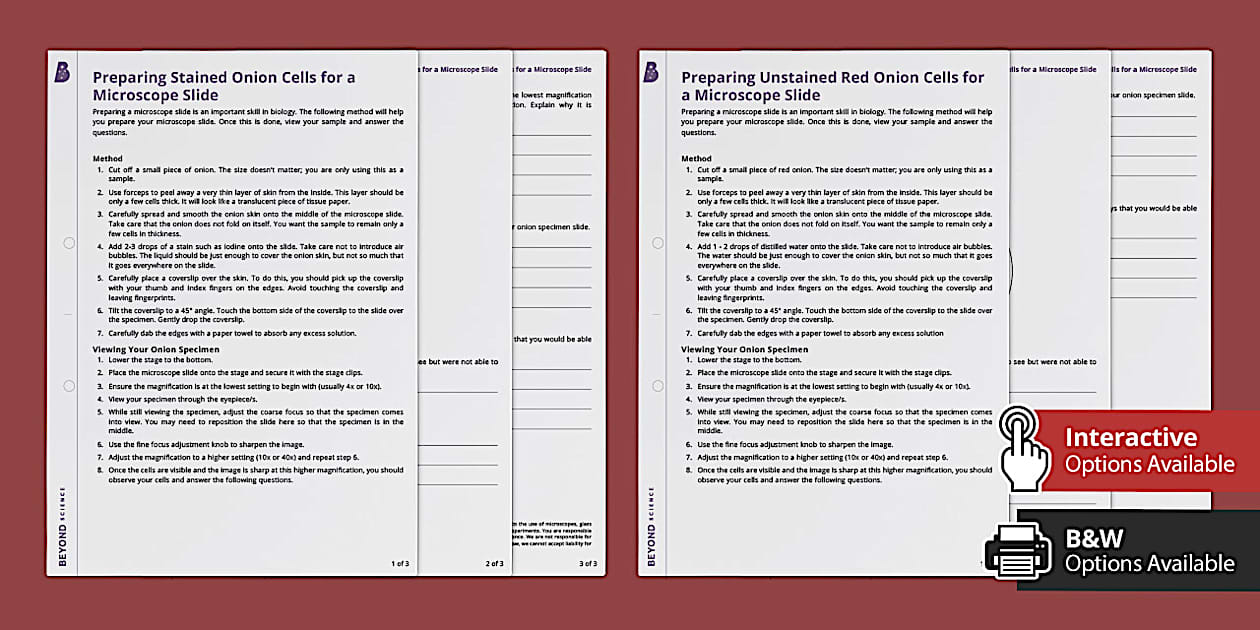 Preparing Onion Cells for a Microscope Slide (teacher made)