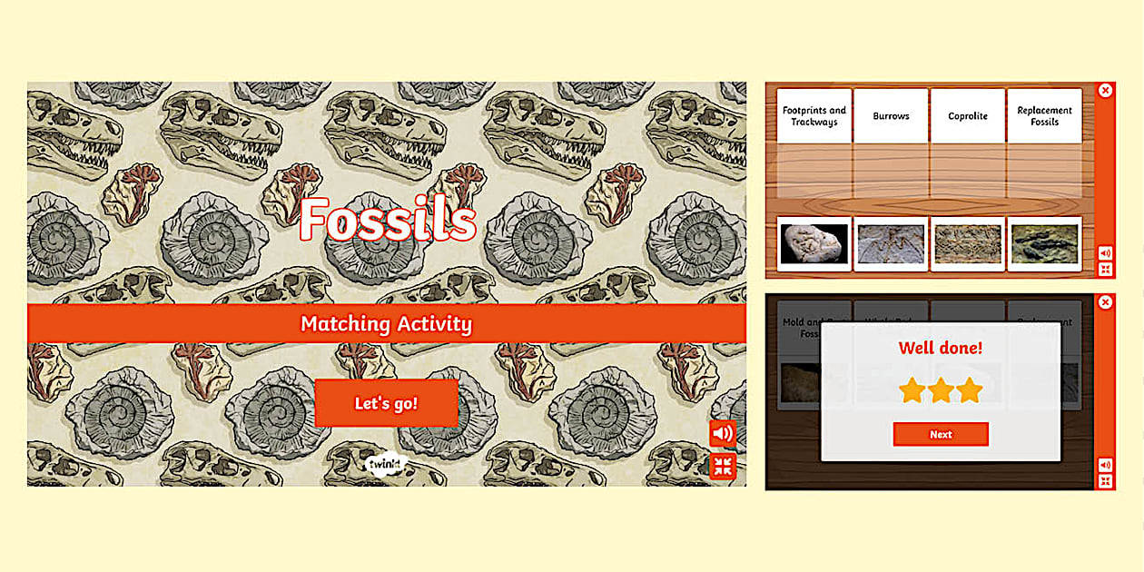 Fossils Interactive Matching Game (teacher made) - Twinkl