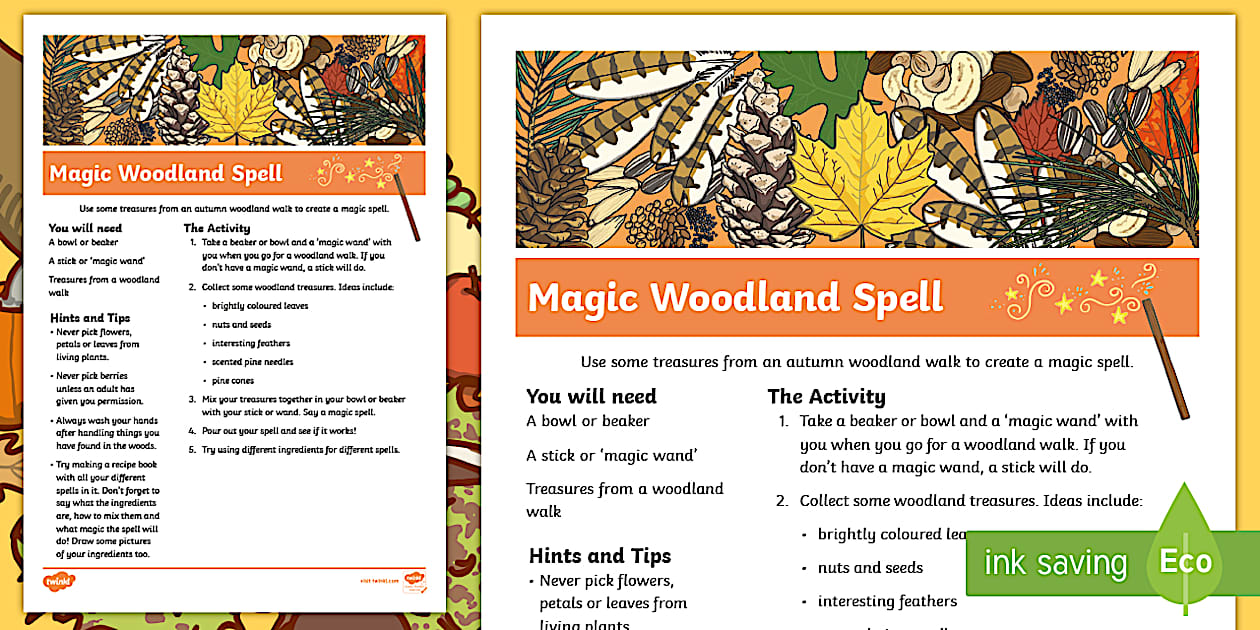 Make a Magic Woodland Potion Recipe (Teacher-Made) - Twinkl