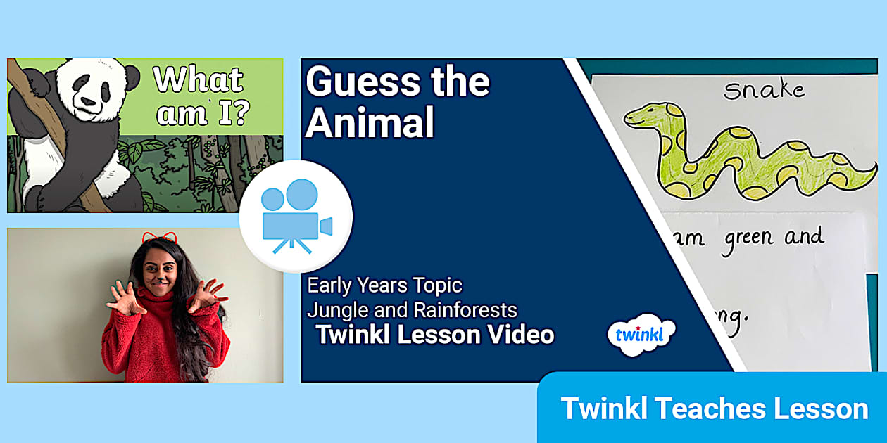 Guess the Animal Video Lesson | Kindergarten Jungle and Rainforests