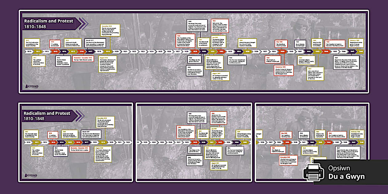 Radicalism and Protest: 1810–1848 Timeline (teacher made)