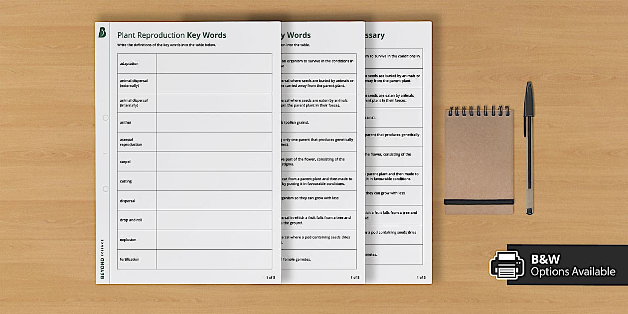 KS3 Plant Reproduction Key Words Activity Pack - Twinkl