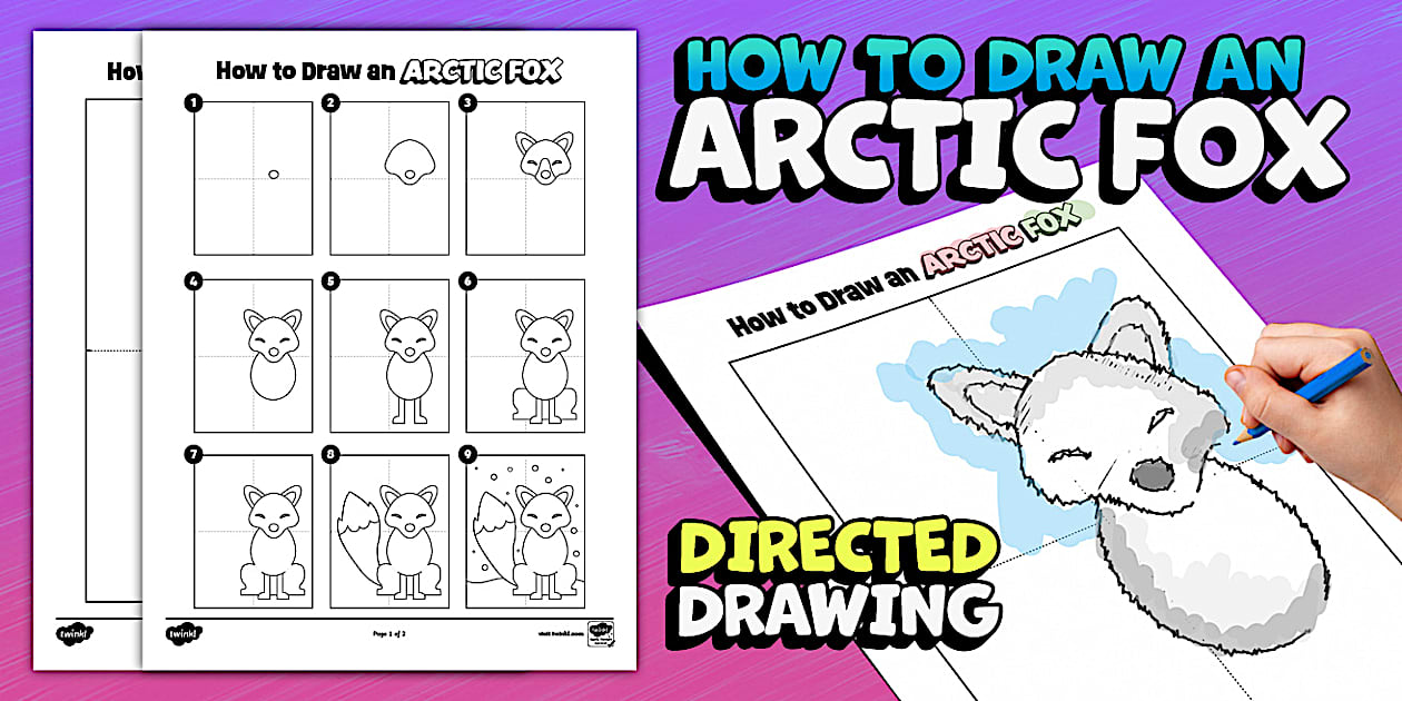How to Draw an Arctic Fox Worksheet (teacher made) - Twinkl