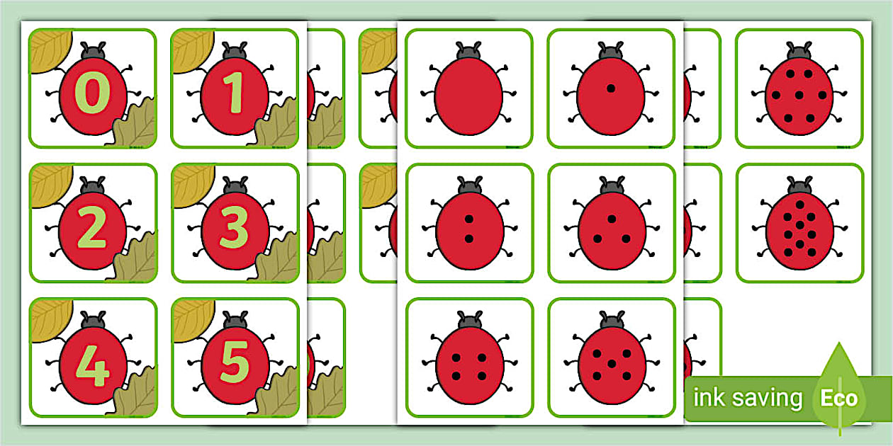 👉 Ladybird Number Matching Game (teacher made) - Twinkl