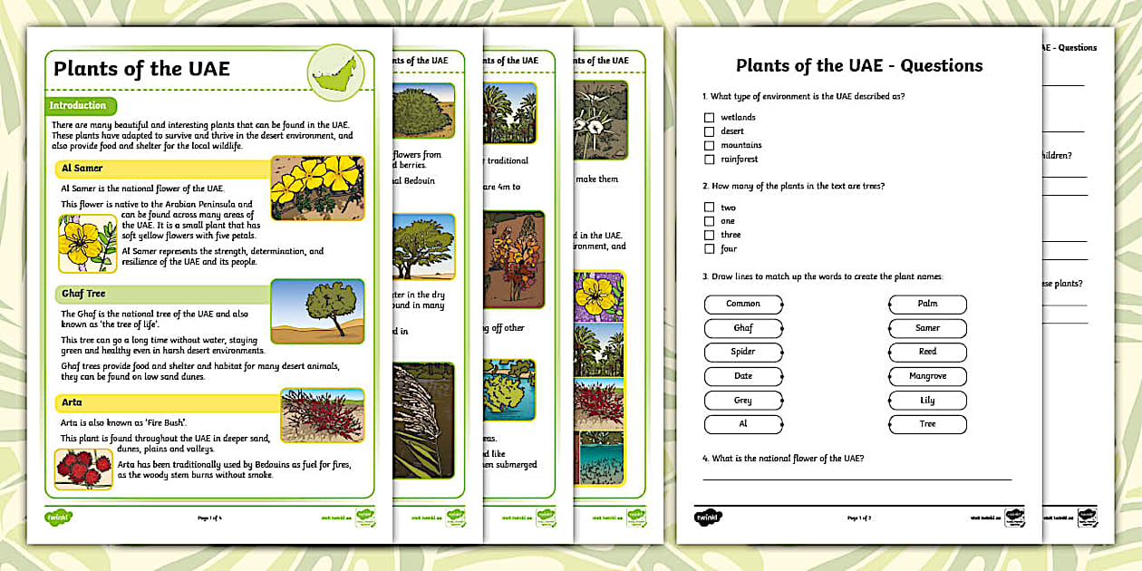 UAE Plants - Reading Comprehension - Lower Primary - Twinkl