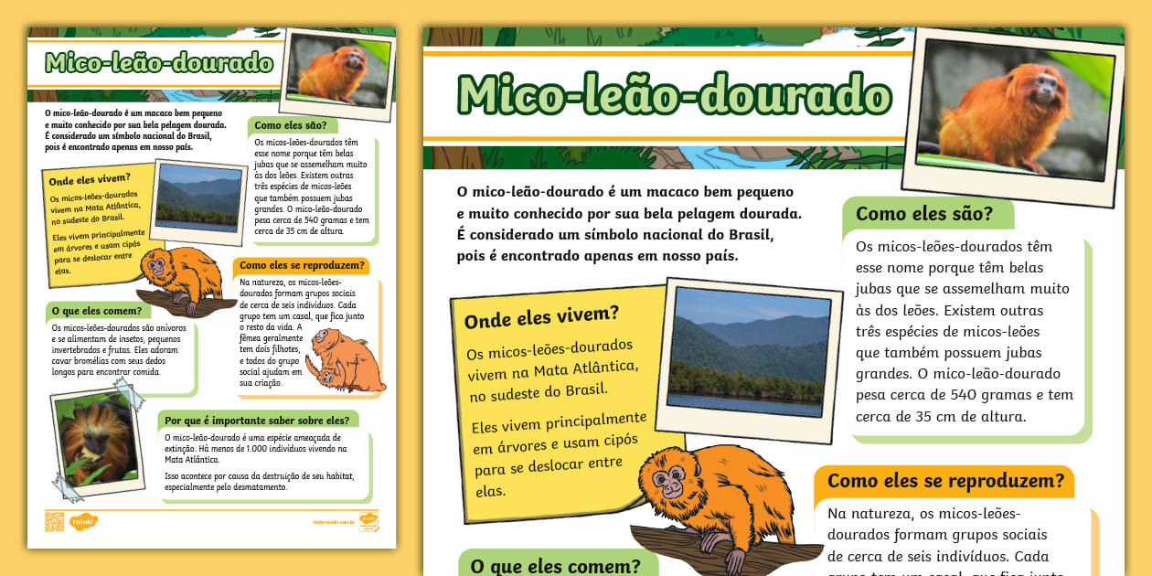 Mico-leão-dourado - Folha de Fatos (teacher made) - Twinkl