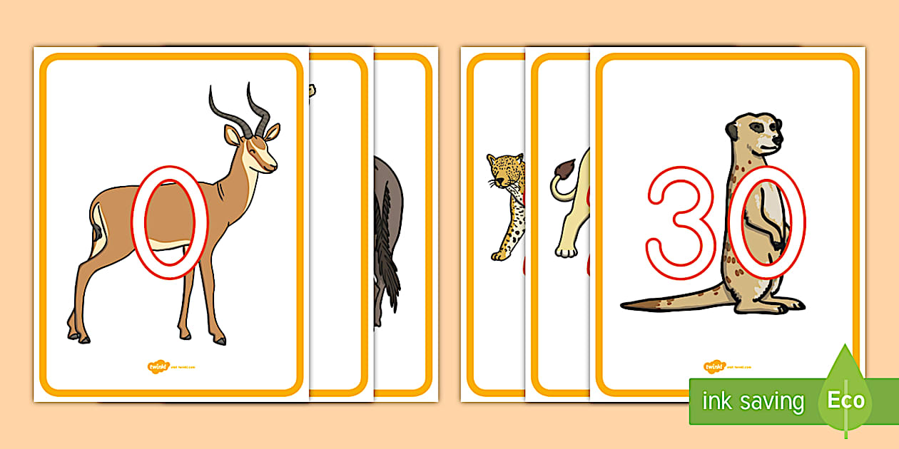 Safari-Themed Numbers 0-30 Display Cards | Twinkl USA
