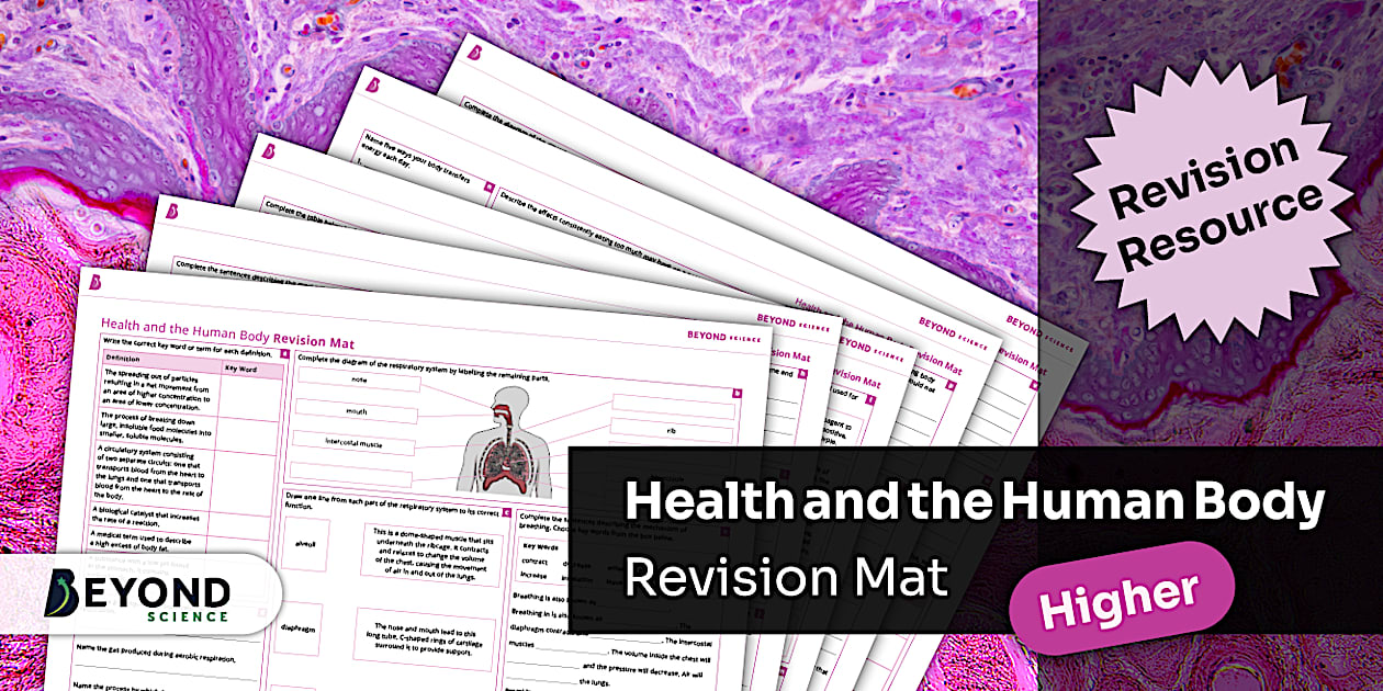 KS3 Health and the Human Body Higher Revision Mat