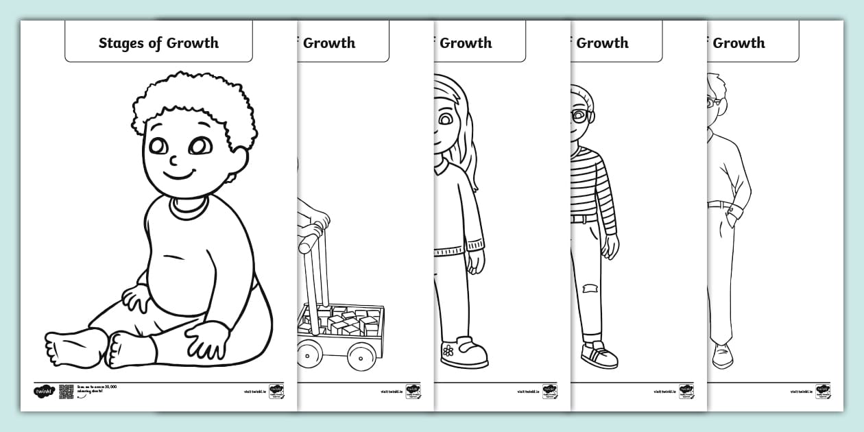 Stages of Growth Colouring Pages