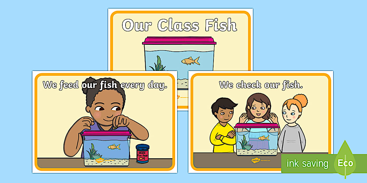 Our Class Fish Display Posters No Tank (Teacher-Made)