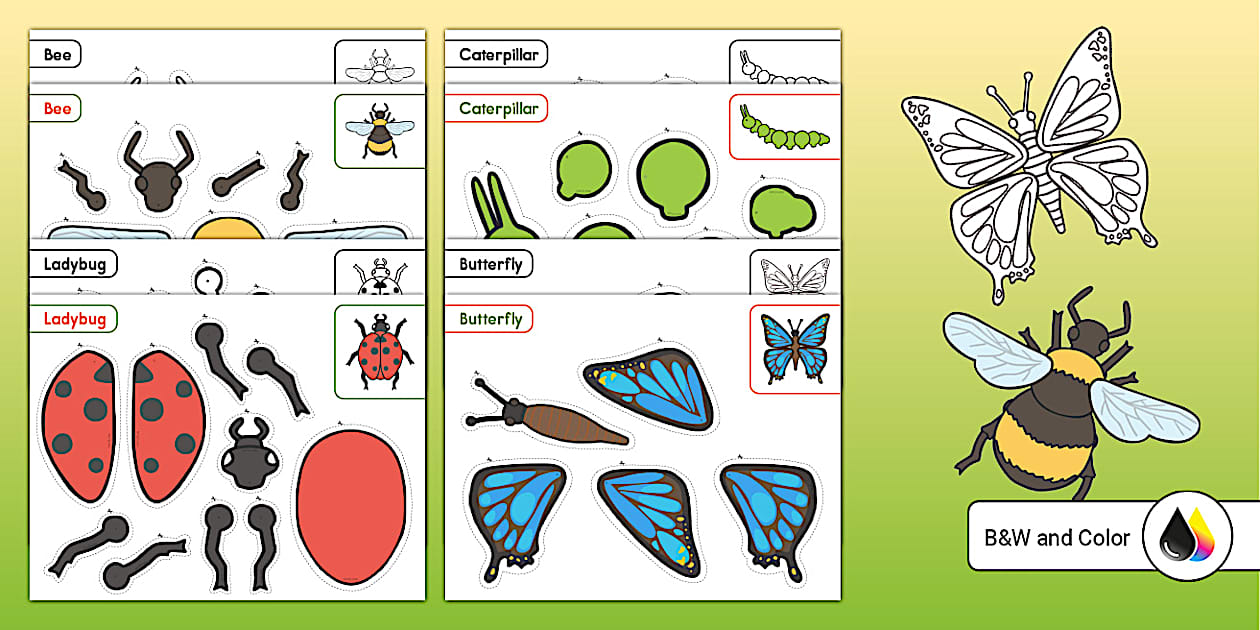 Insects and Bugs Split Pin Craft (teacher made) - Twinkl