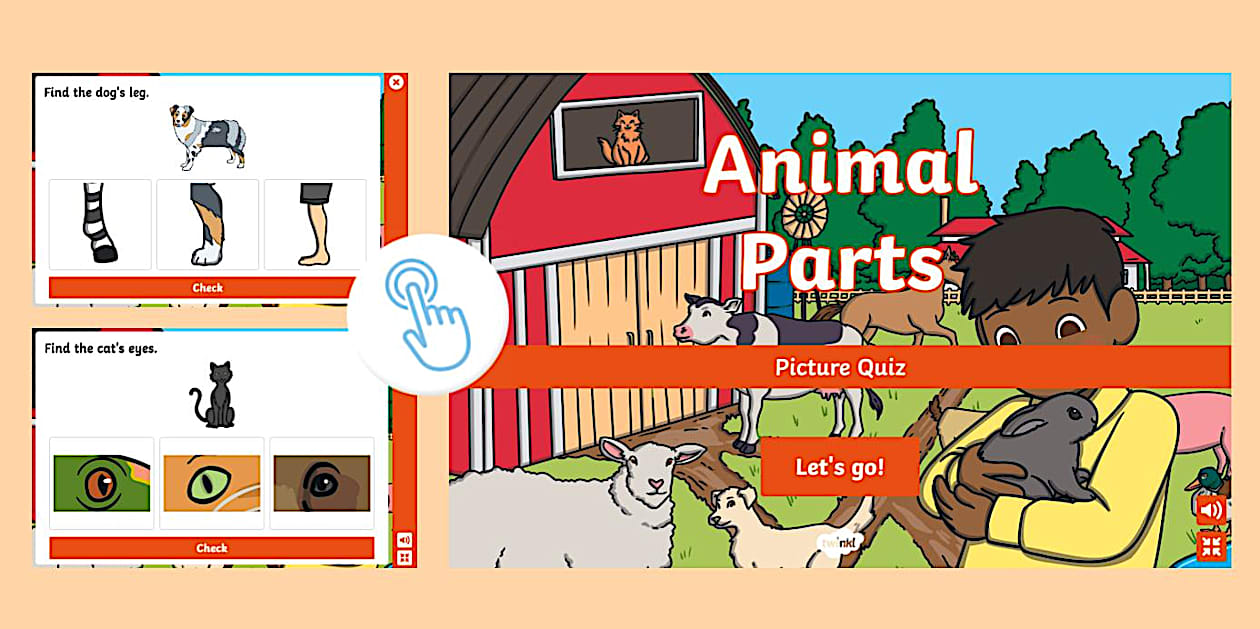 Animal Parts Picture Quiz (Teacher-Made) - Twinkl