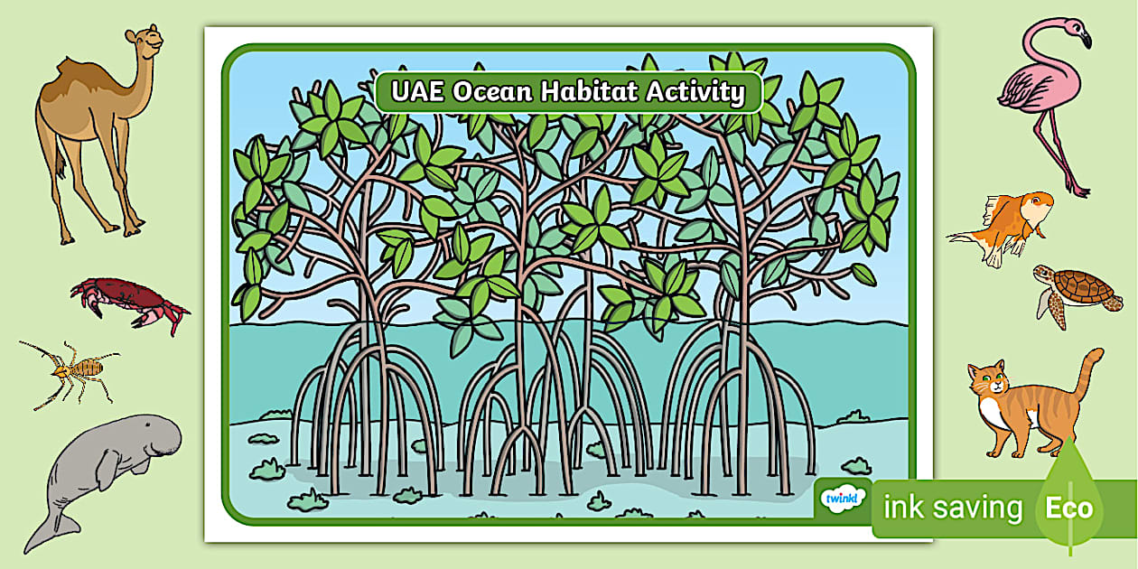 KS1 UAE Ocean Habitat Activity (teacher made) - Twinkl