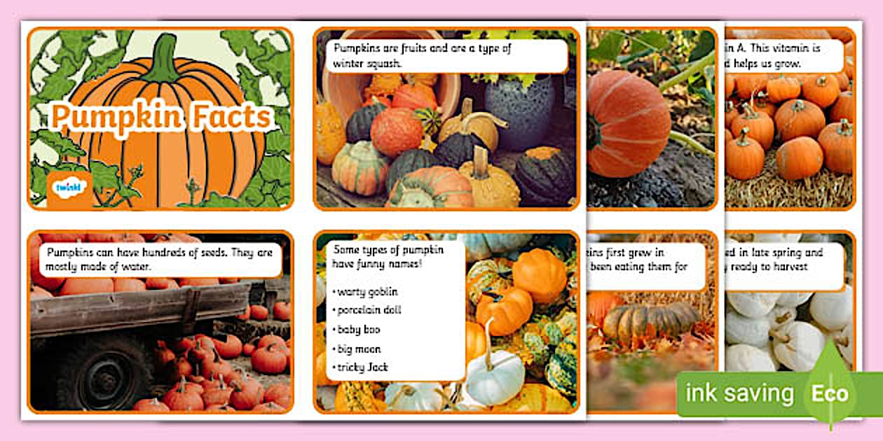 Pumpkin Fact Cards (Teacher-Made) - Twinkl
