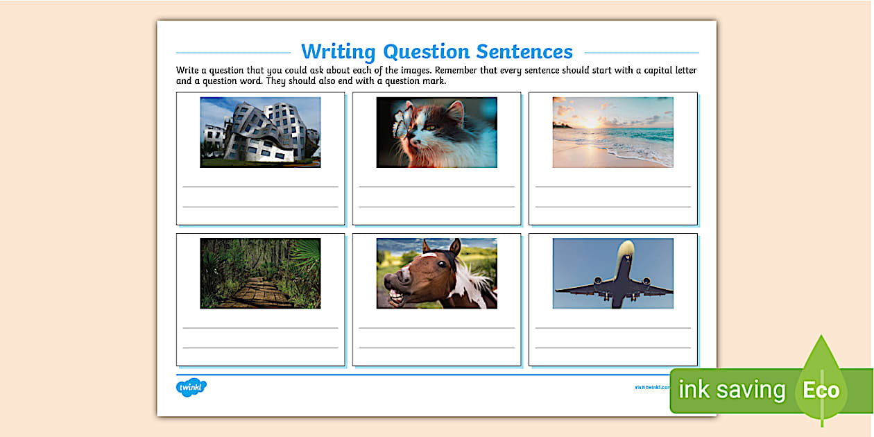 Write a Question Sentence Activity Sheet,questions - Twinkl