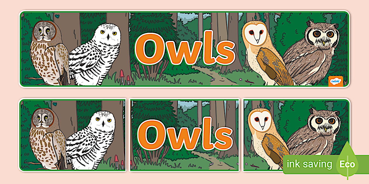 Owls Display Banner (teacher made) - Twinkl