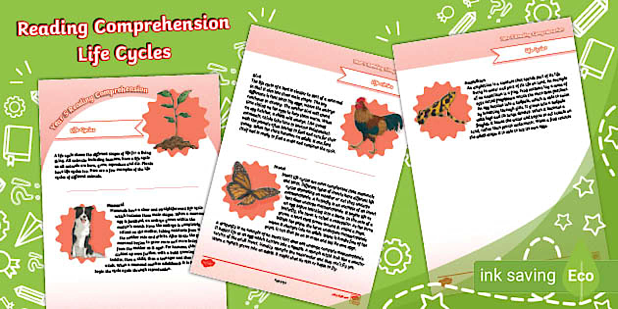 Year 5 Reading Comprehension - Non-Fiction (Ages 9 - 10)