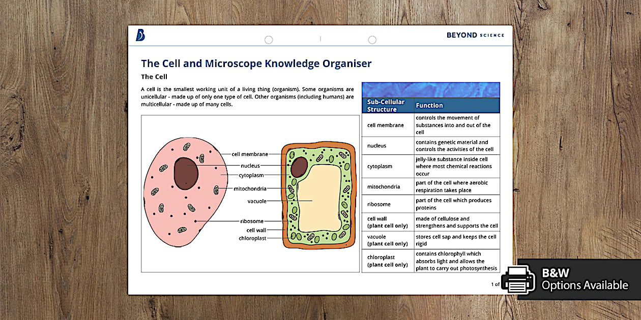 The Cell and Microscope Knowledge Organiser