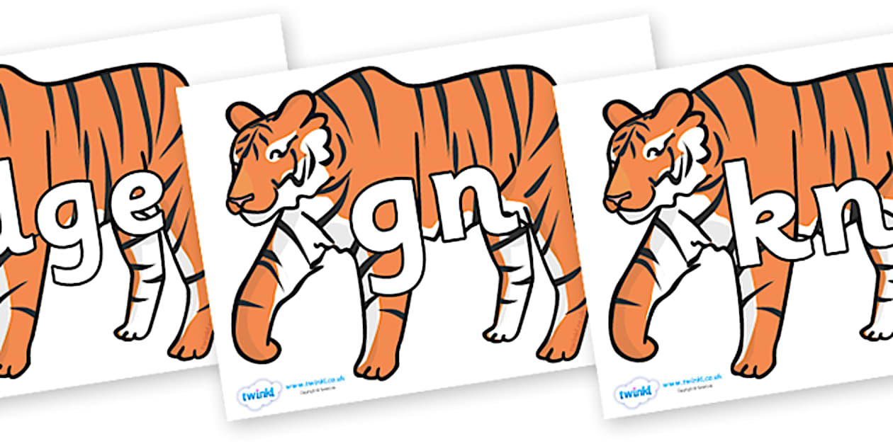 Cursive Silent Letters on Chinese New Year Tiger - Twinkl