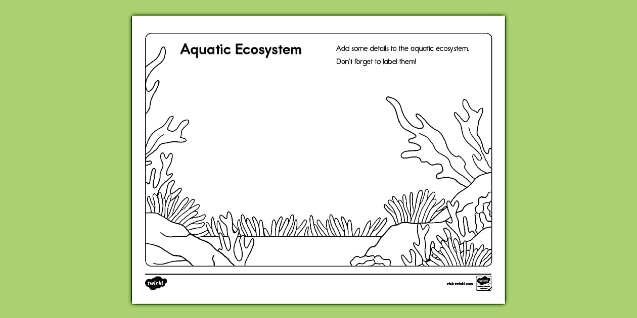 Draw the Aquatic Ecosystem Worksheet for K-2nd Grade