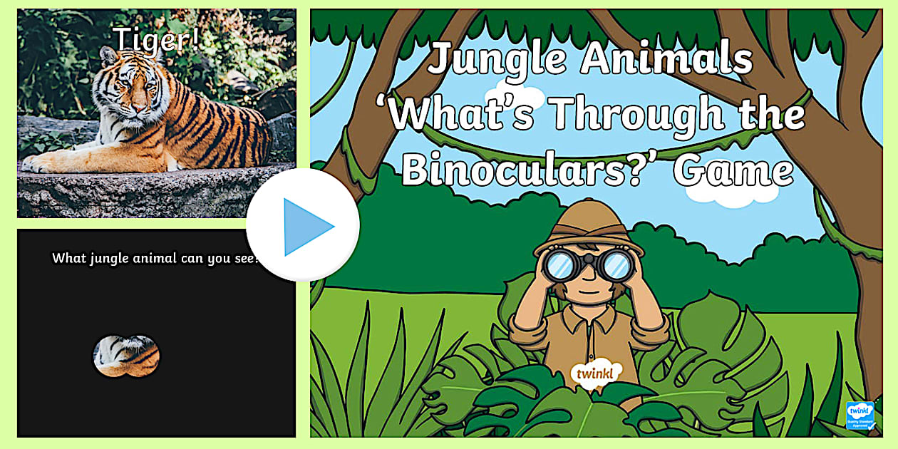 Animals that Live in the Jungle PowerPoint Activity | Twinkl