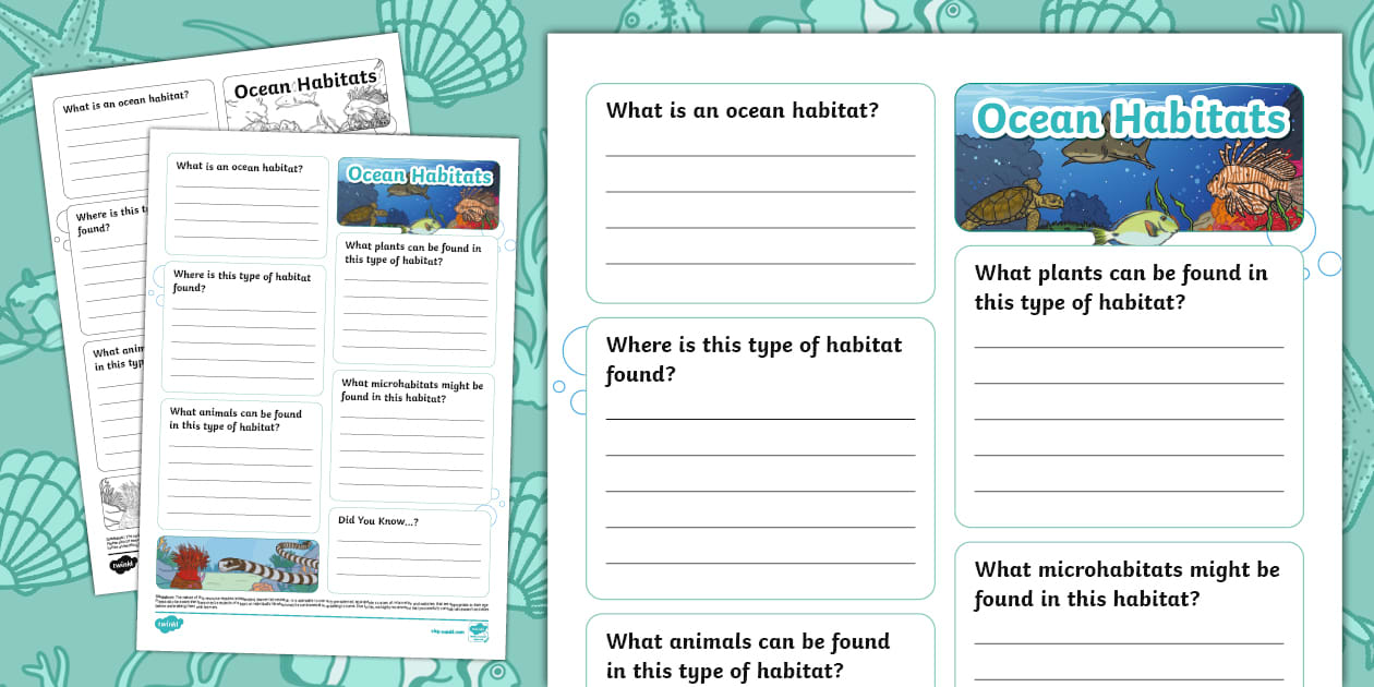 Ocean Habitats Fact File Template (teacher made) - Twinkl