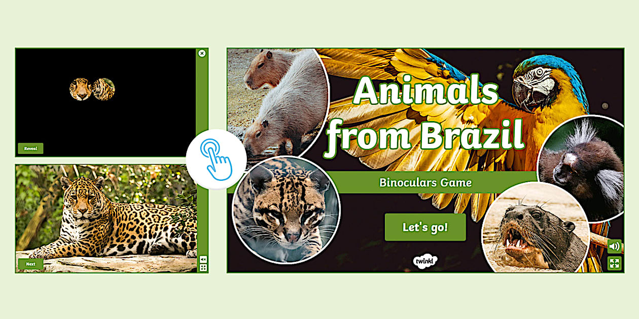 Animals from Brazil Interactive Binoculars Game - Twinkl