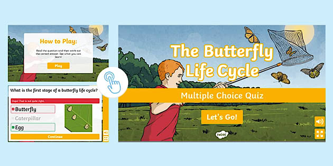 Butterfly Life Cycle Quiz (Teacher-Made) - Twinkl