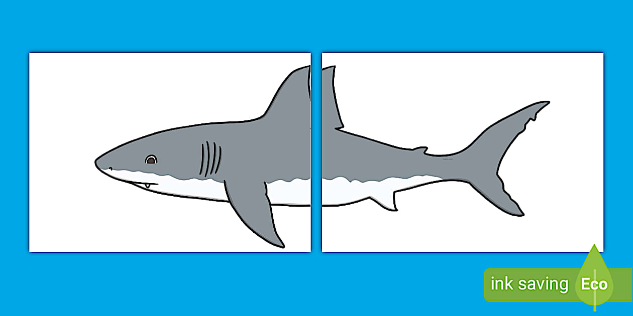 Extra Large Shark Display Cut-Out (Teacher-Made) - Twinkl