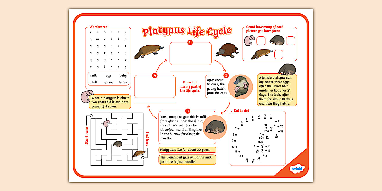 Platypus Activity Mat (teacher made) - Twinkl