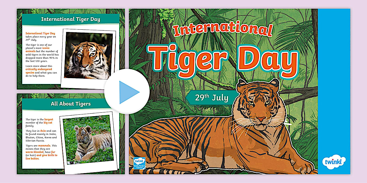 International Tiger Day Whole School Assembly Pack - Twinkl
