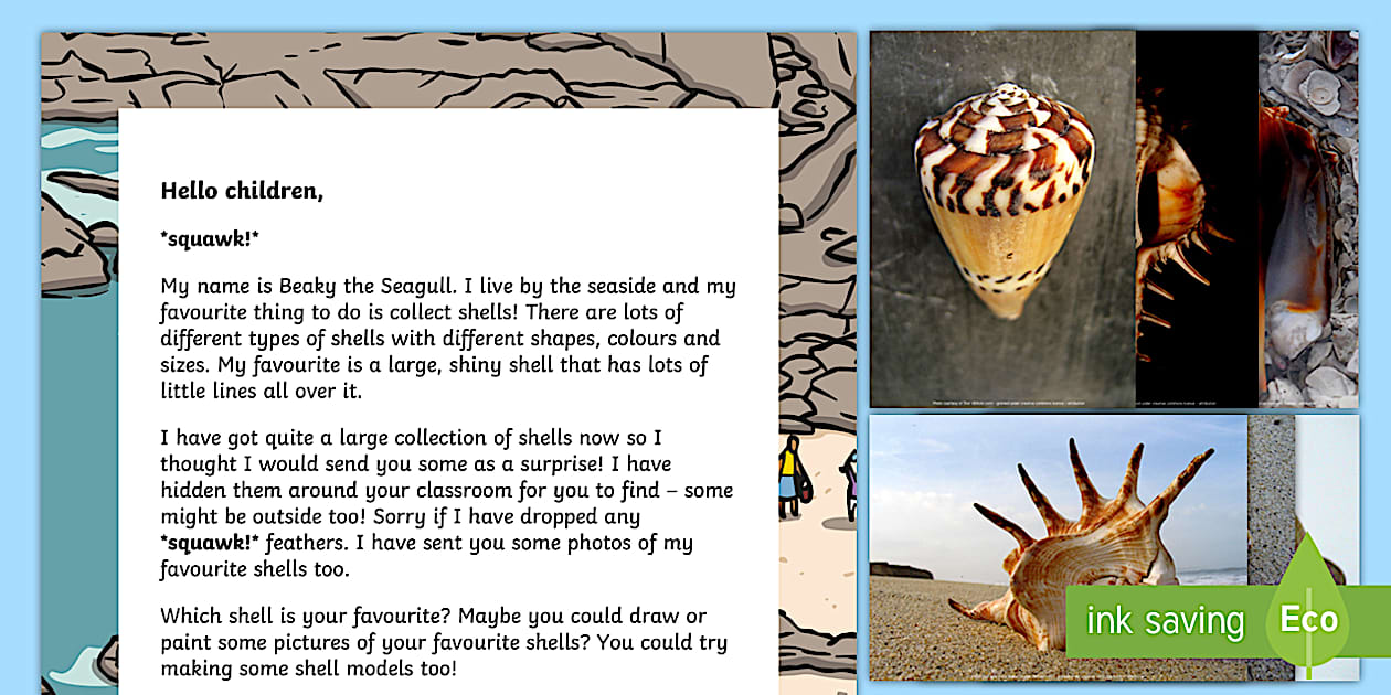 Editable Exploring Shells Letter and Resource Pack Resource Pack