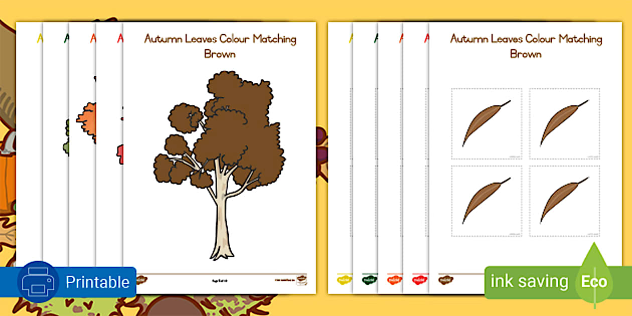 Grade R LS -Term 2 -Worksheets: Autumn Leaves Colour Matching