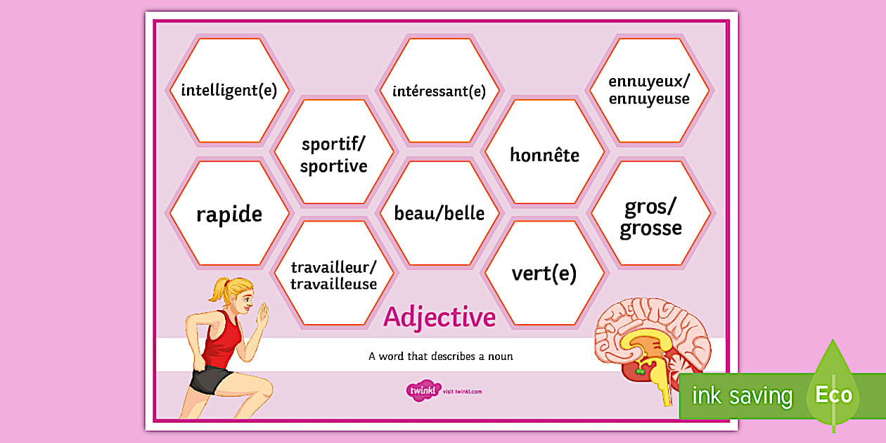 French Adjectives with Definition and Examples Display Poster