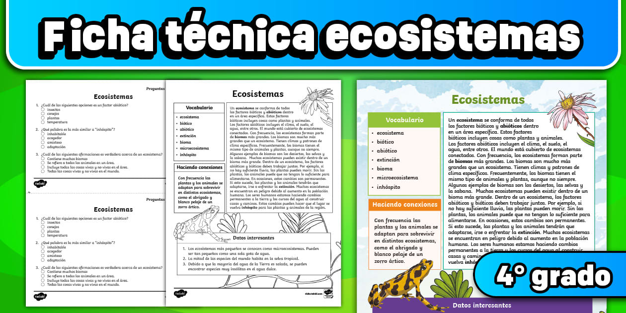 Ficha técnica de ecosistemas y vocabulario 4° grado