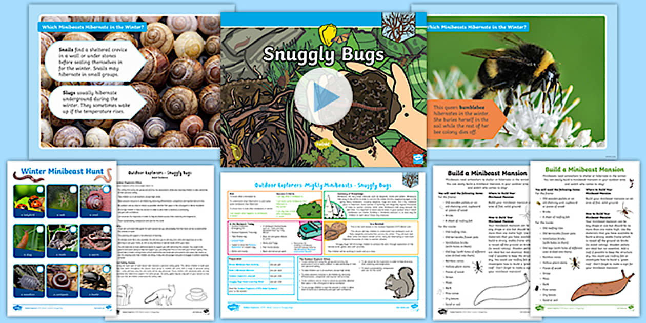 Outdoor Explorers EYFS Winter Lesson 6 Snuggly Bugs - Twinkl