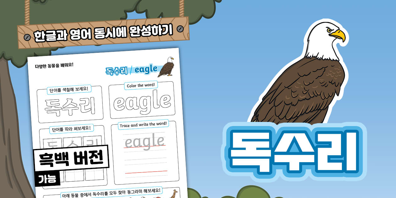 한글과 영어 동시에 완성하기 | 동물 | 독수리 | Animal Eagle Tracing Activity (Korean ...