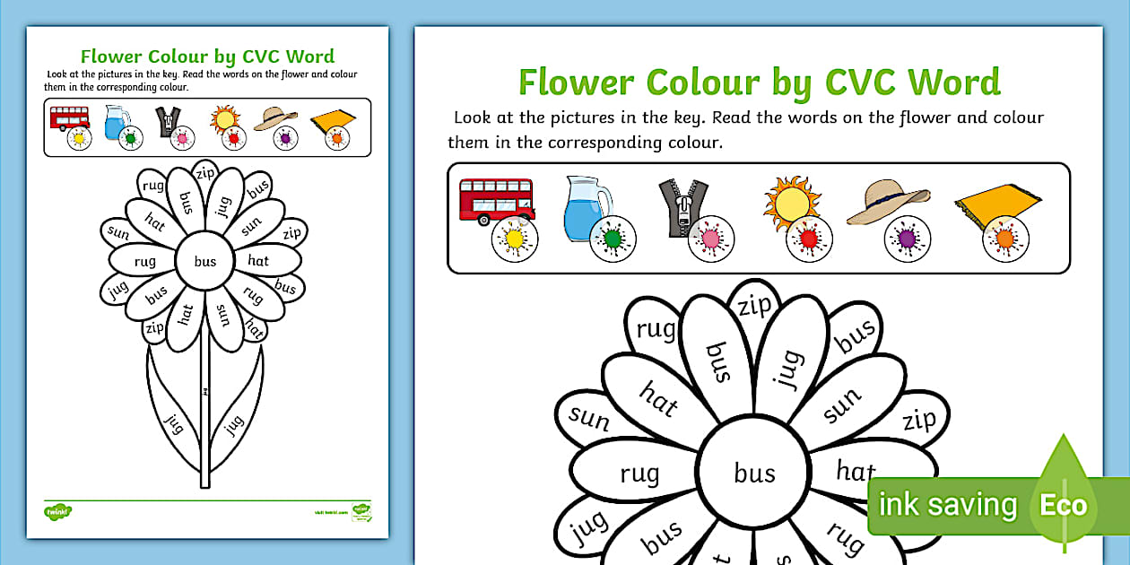 Flower Colour by CVC Activity | Phonics | Twinkl - Twinkl