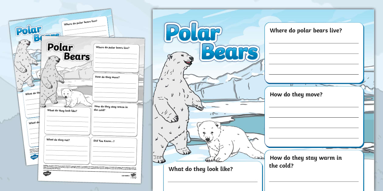 Polar Bears Fact File Template - Twinkl Ireland - Twinkl