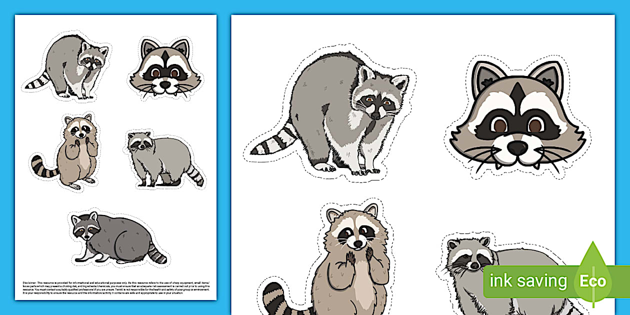 Cartoon Raccoon Clip Art Cut-Outs for display. - Twinkl