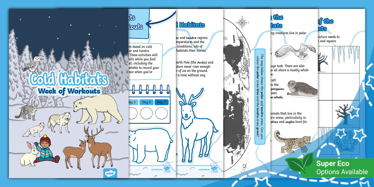 Cold Habitats Week of Workouts (Ages 5 - 7) (teacher made)