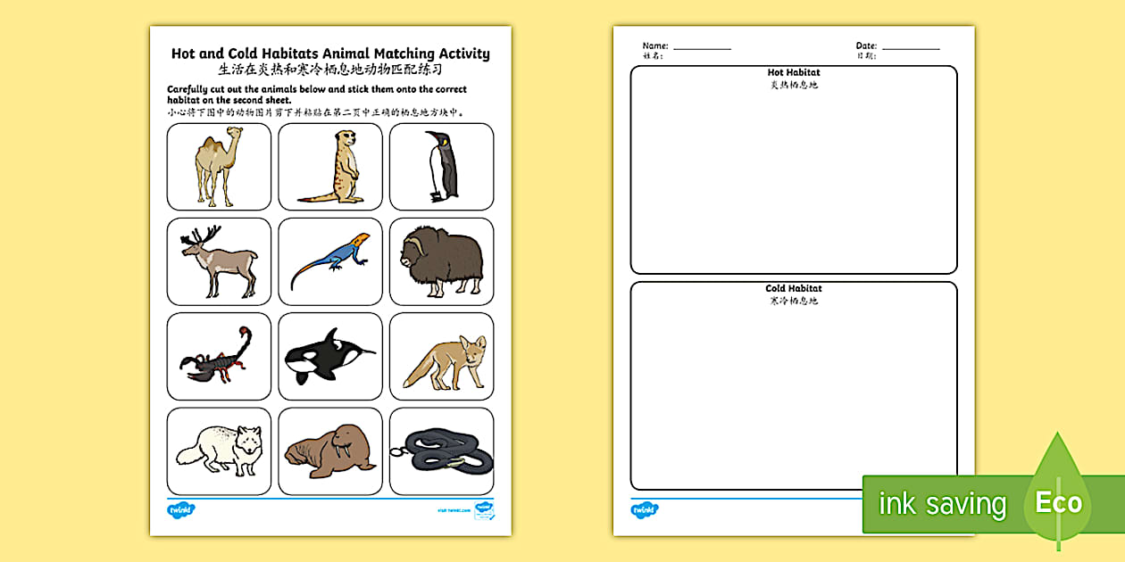 Black and White Hot and Cold Habitats Animal Sorting Worksheet