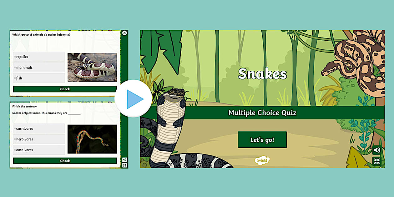 KS1 Snakes Interactive Quiz - Twinkl