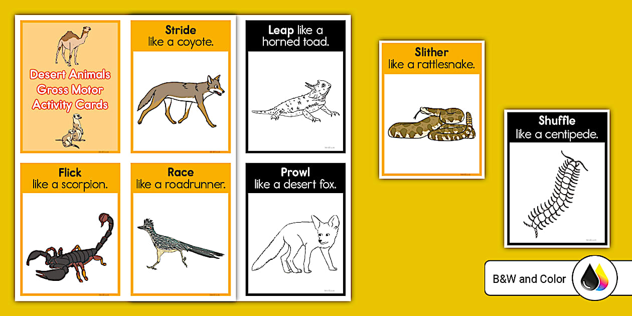 Desert Animals Gross Motor Activity Cards (Teacher-Made)