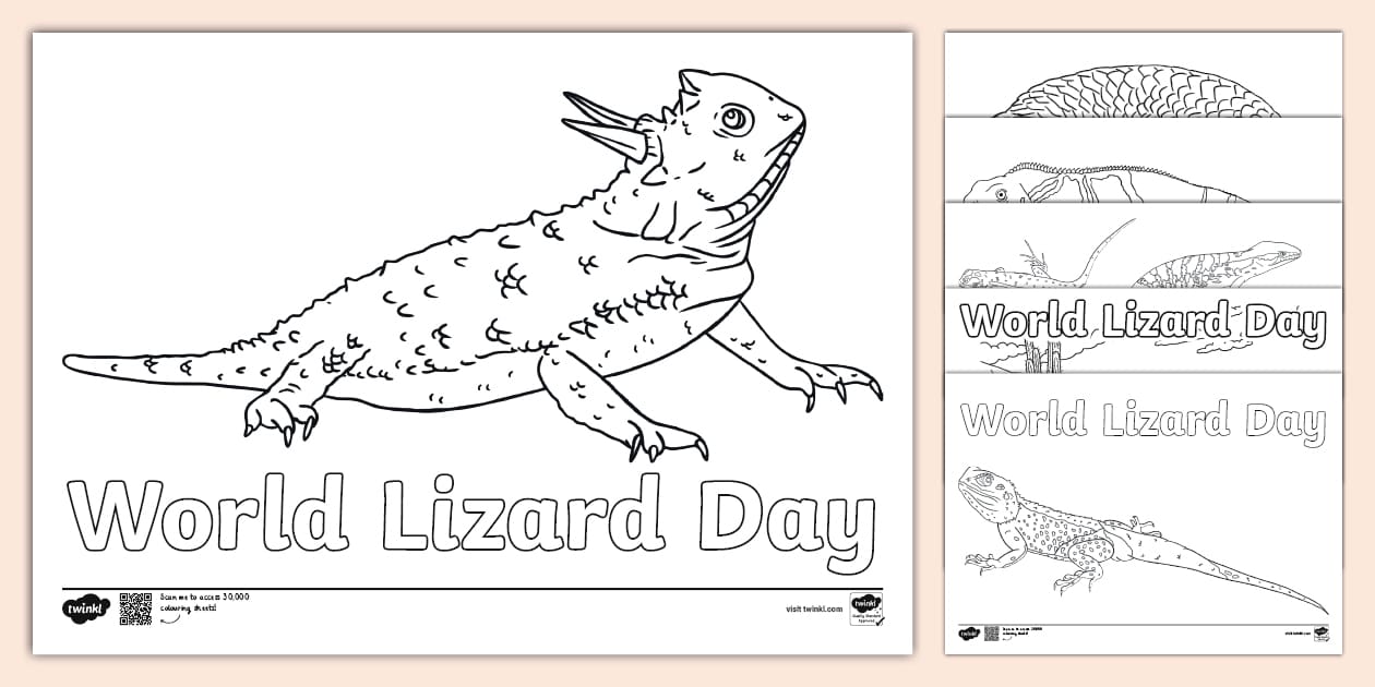 KS1 World Lizard Day Colouring Pages (teacher made) - Twinkl