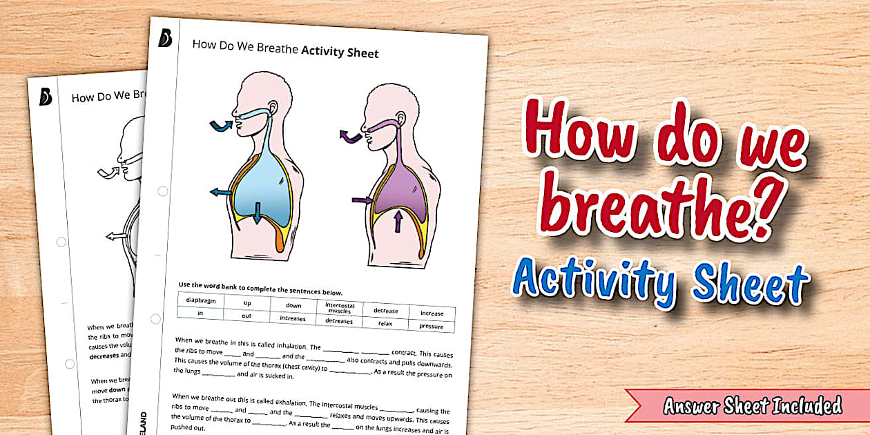 How Do We Breathe Activity Sheet